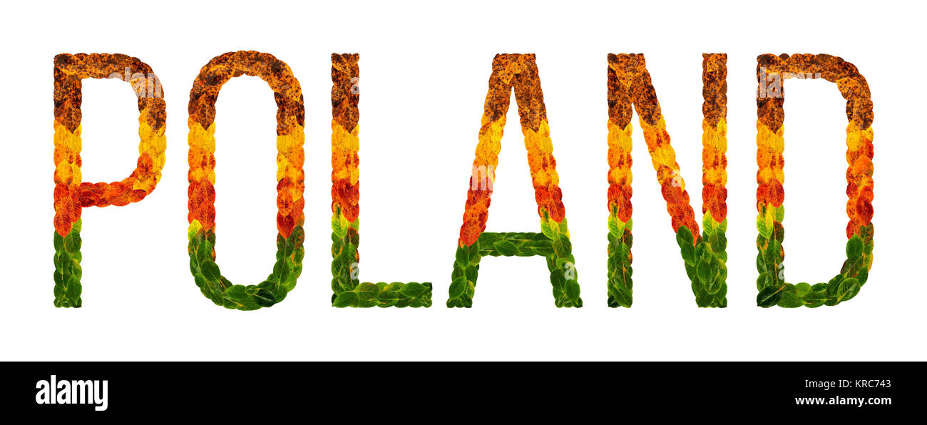 word poland country is written with leaves on a white insulated ...