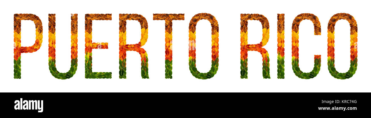 word puerto rico country is written with leaves on a white insulated ...