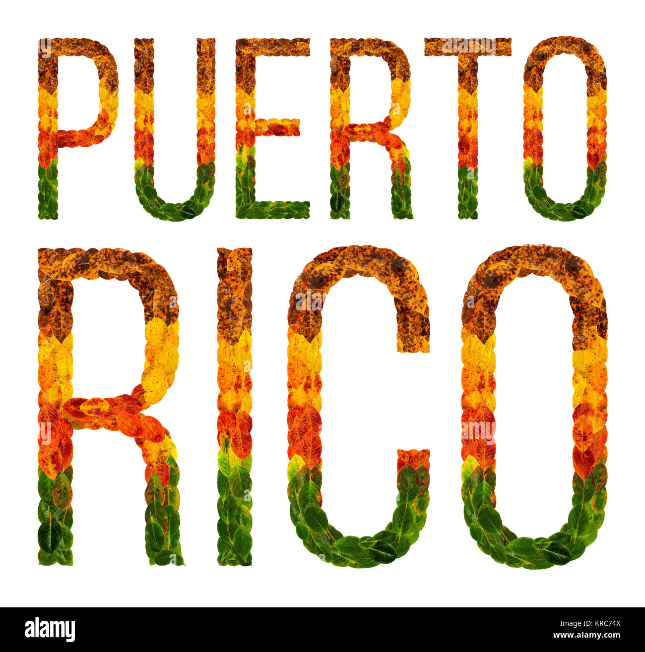 word puerto rico country is written with leaves on a white insulated ...