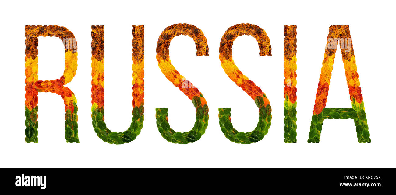 word russia country is written with leaves on a white insulated ...