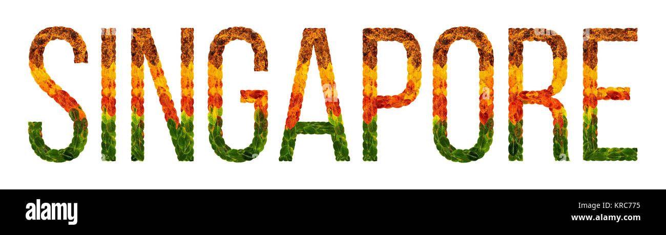 word singapore country is written with leaves on a white insulated ...