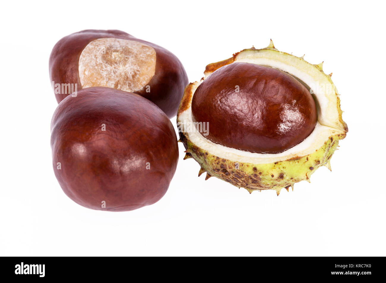 Fruits of chestnuts in green shell isolated on white background Stock ...