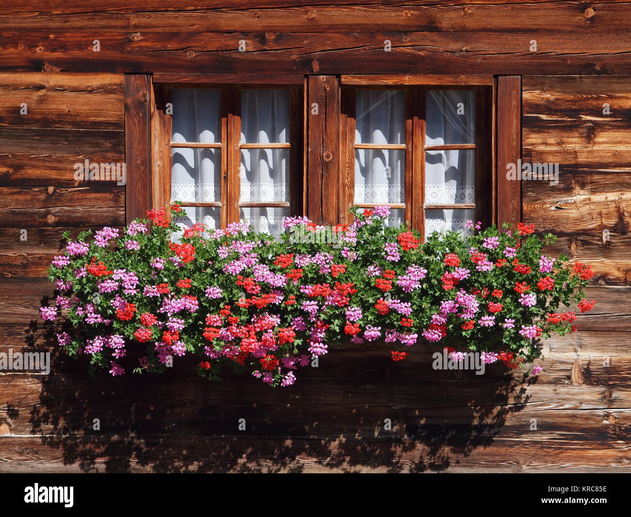 flowers at the window Stock Photo - Alamy