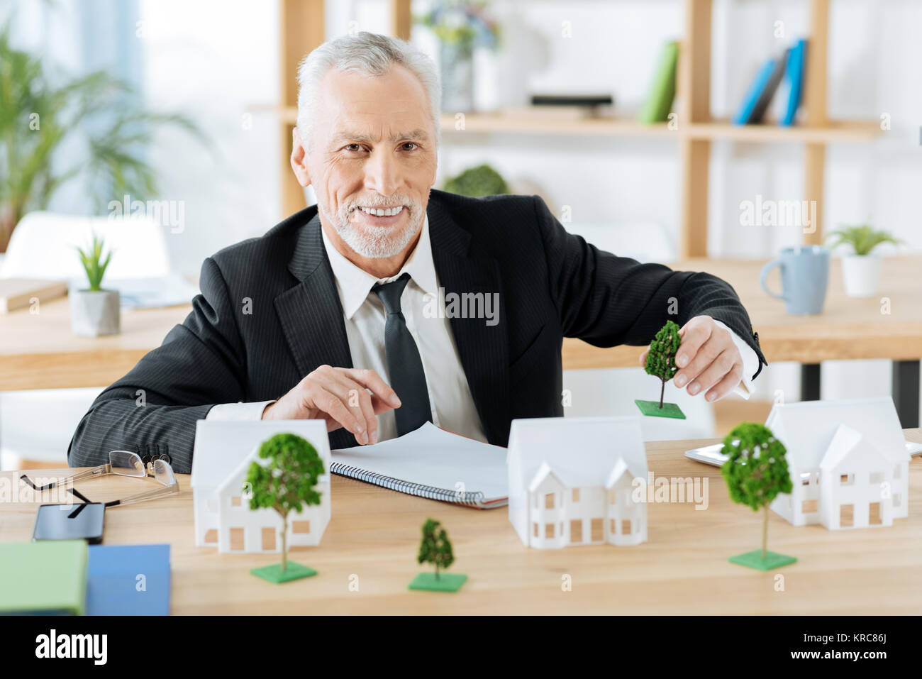 Smiling real estate agent feeling happy while moving toy trees Stock ...