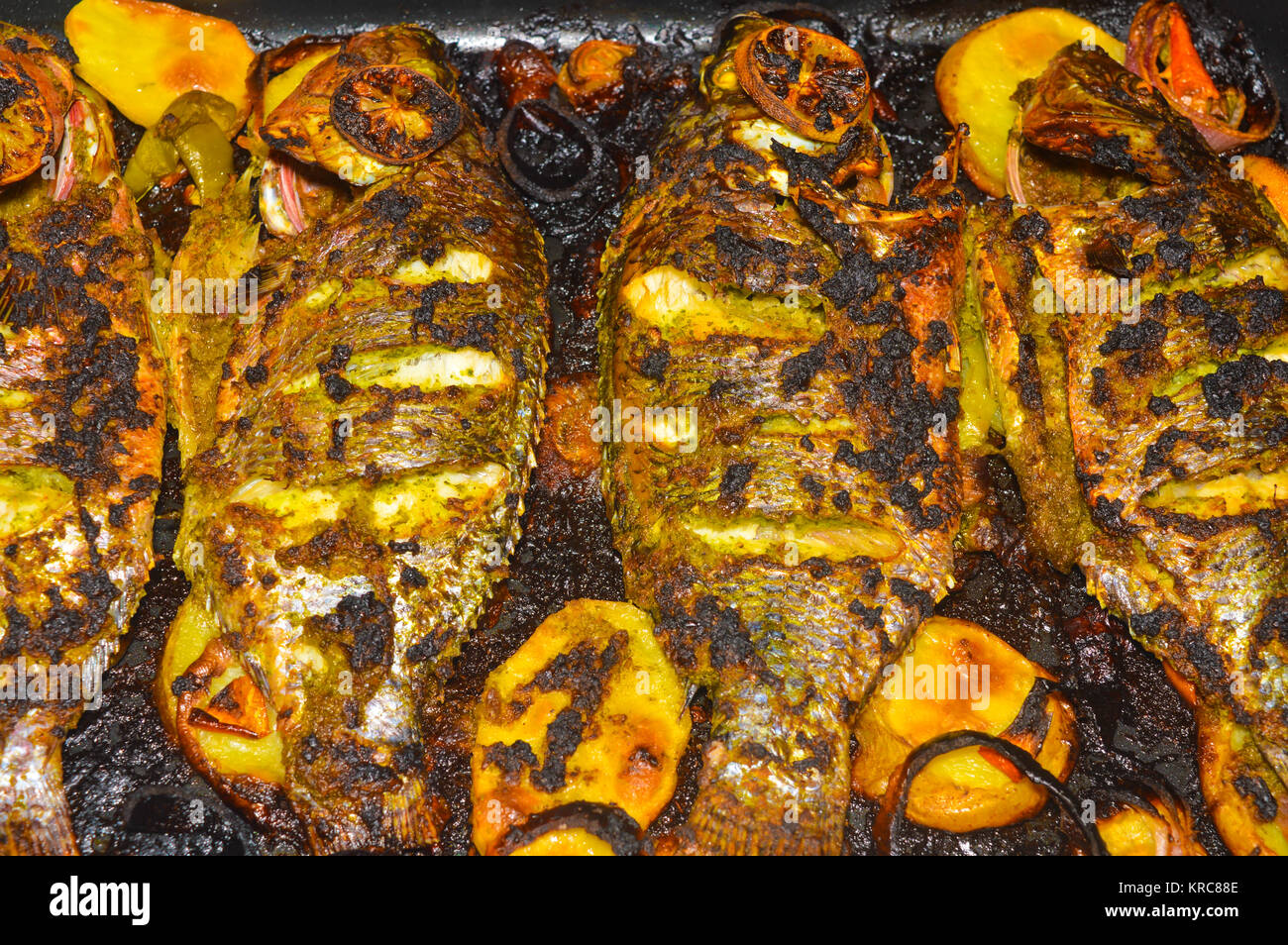 homemade grilled tilapia fish Stock Photo - Alamy