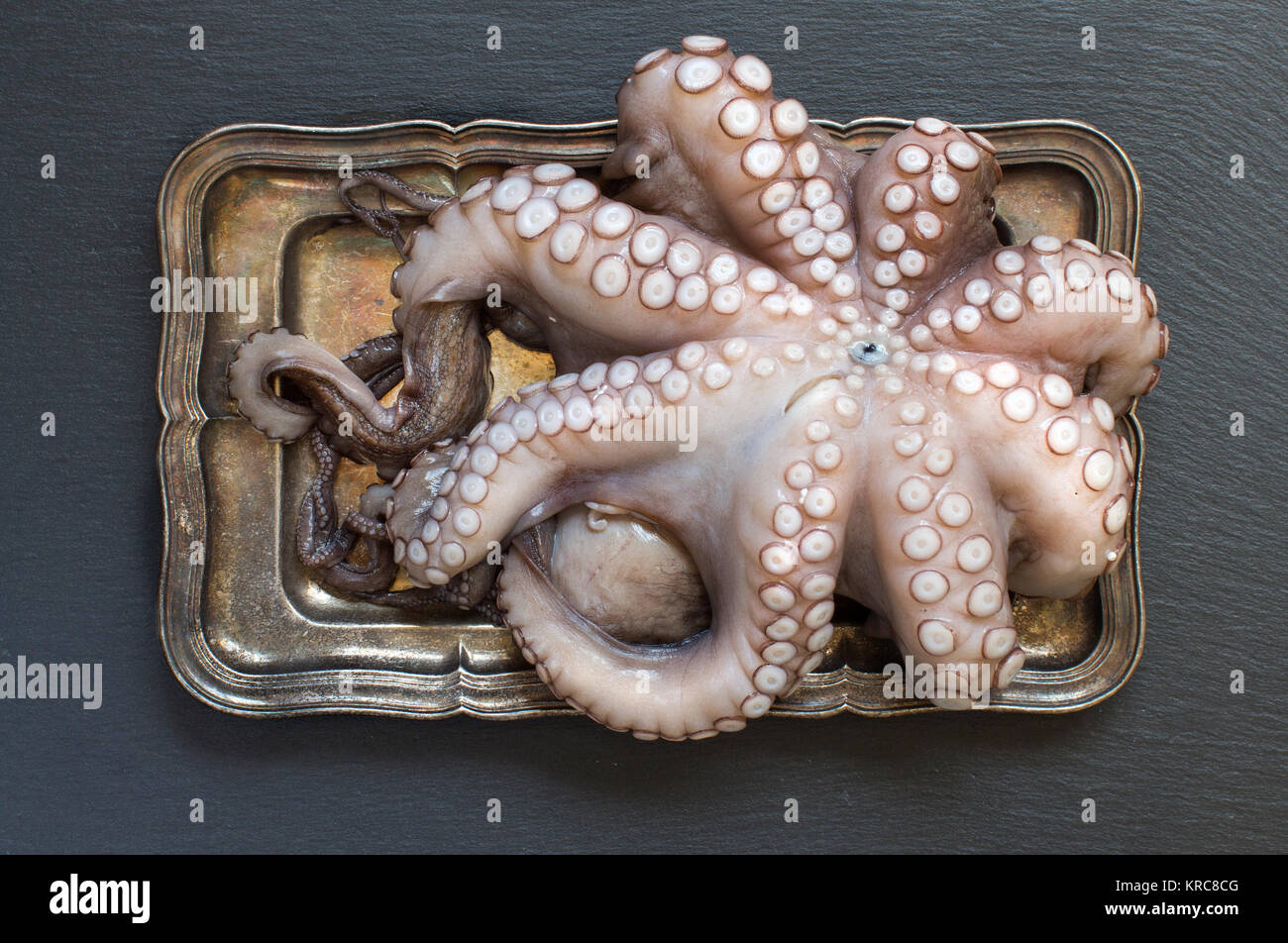 Raw octopus on tray Stock Photo - Alamy