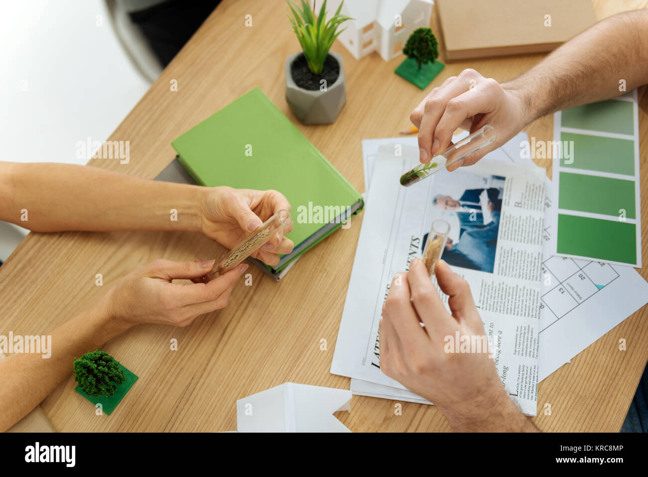 Two attentive scientists holding fragile test tubes with growing seeds ...
