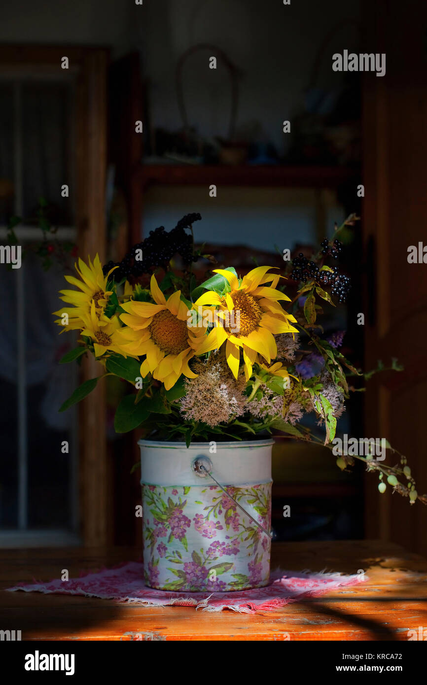 Sunflower, Helianthus, Yellow cut flowers in bucket on patio Stock ...