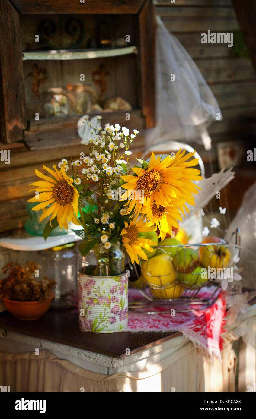 Sunflower, Helianthus, Yellow cut flowers in bucket on patio Stock ...