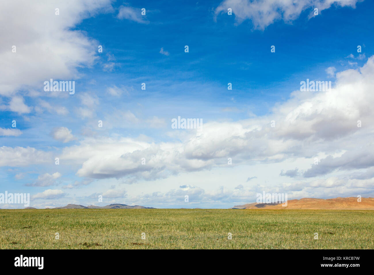 Typical steppe landscape in Mongolia Stock Photo - Alamy