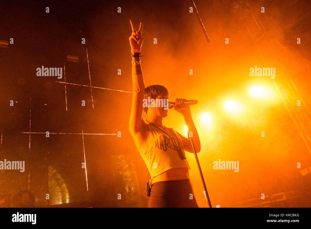 The Swedish singer and rapper Ellinor Olovsdotter is better known by ...