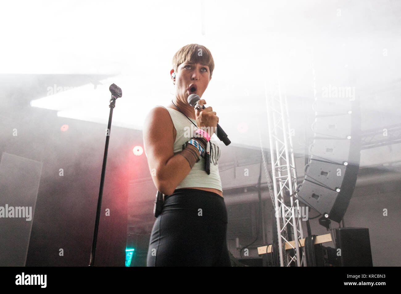 The Swedish singer and rapper Ellinor Olovsdotter is better known by ...