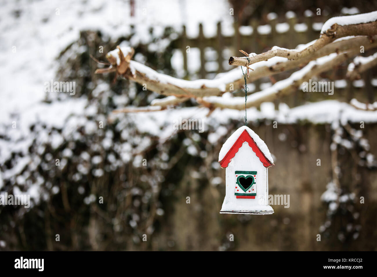Helping birds to nest hi-res stock photography and images - Alamy