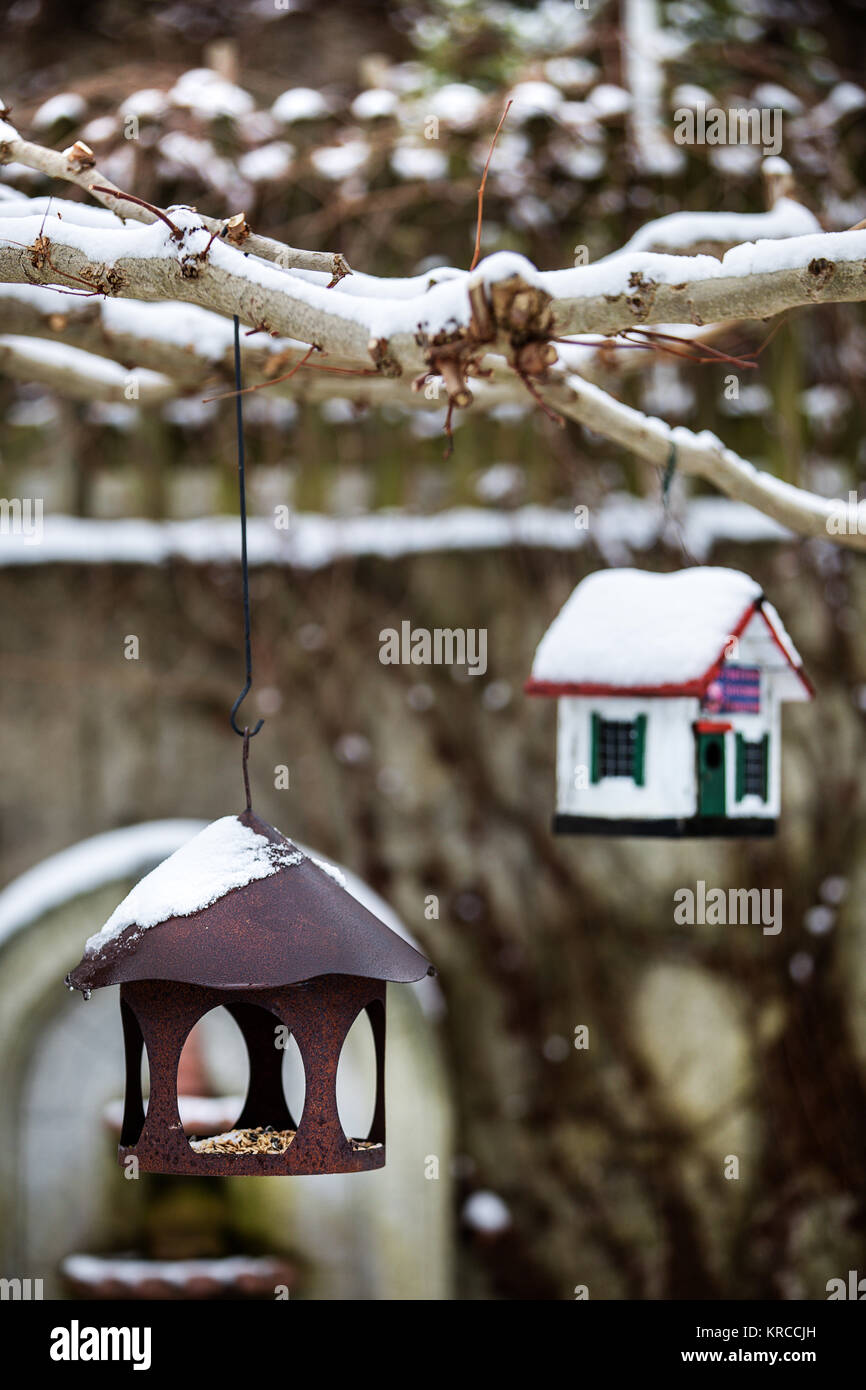 Helping birds to nest hi-res stock photography and images - Alamy