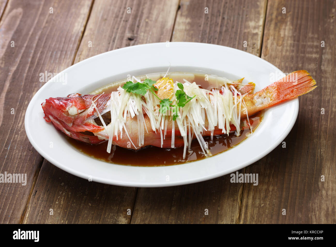 Garoupa fish hi-res stock photography and images - Alamy