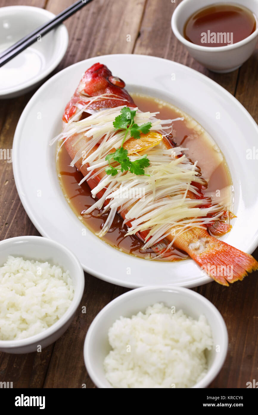 Garoupa fish hi-res stock photography and images - Alamy