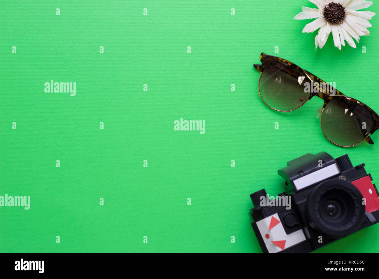 Green tourism concept background with flower, camera and sunglasses ...