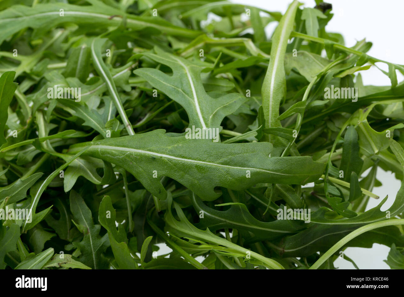 Heap of ruccola leaves Stock Photo - Alamy