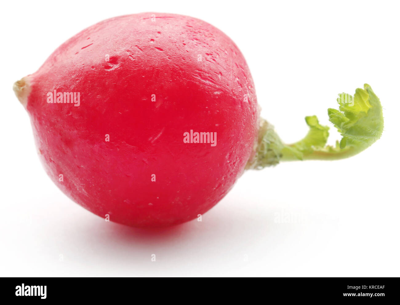 Fresh small radish over white background Stock Photo - Alamy