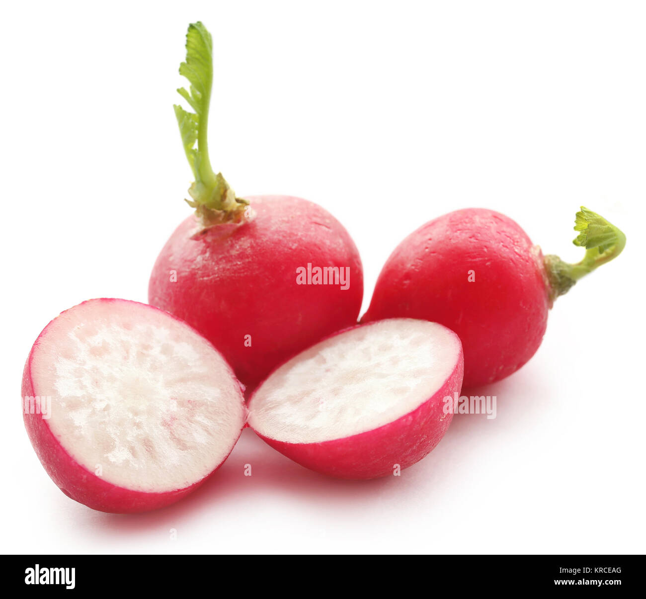 Fresh small radish over white background Stock Photo - Alamy