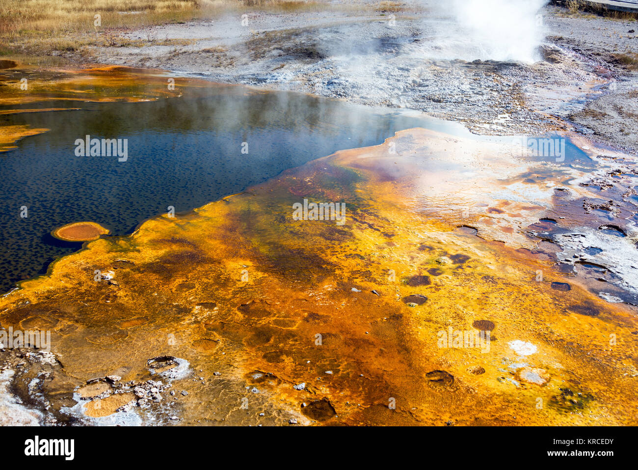 Upper Geyser Basin Bacteria Mat Stock Photo - Alamy