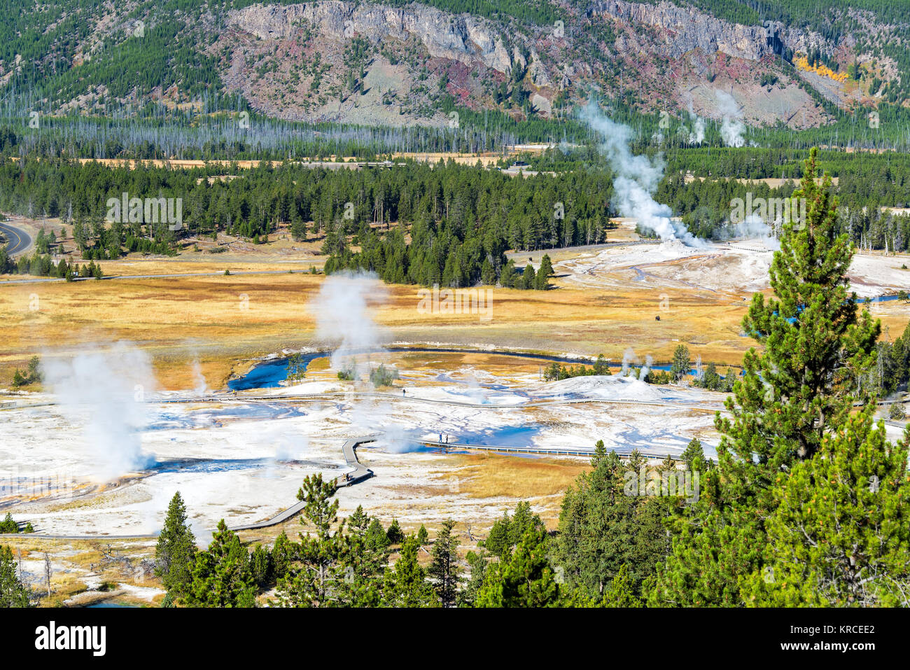 Upper Geyser Basin Landscape Stock Photo - Alamy
