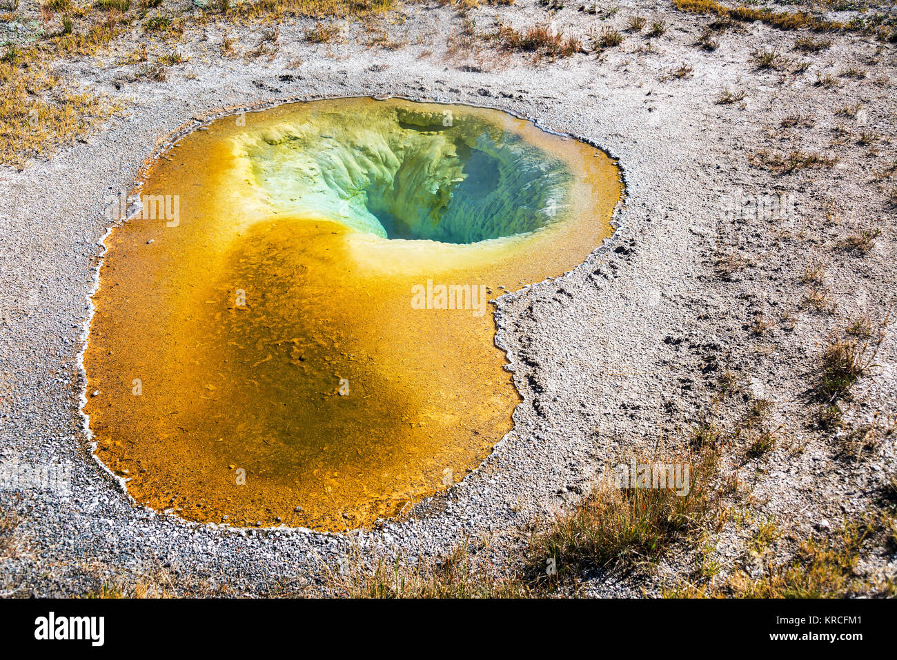 Belgian Pool in Yellowstone National Park Stock Photo - Alamy