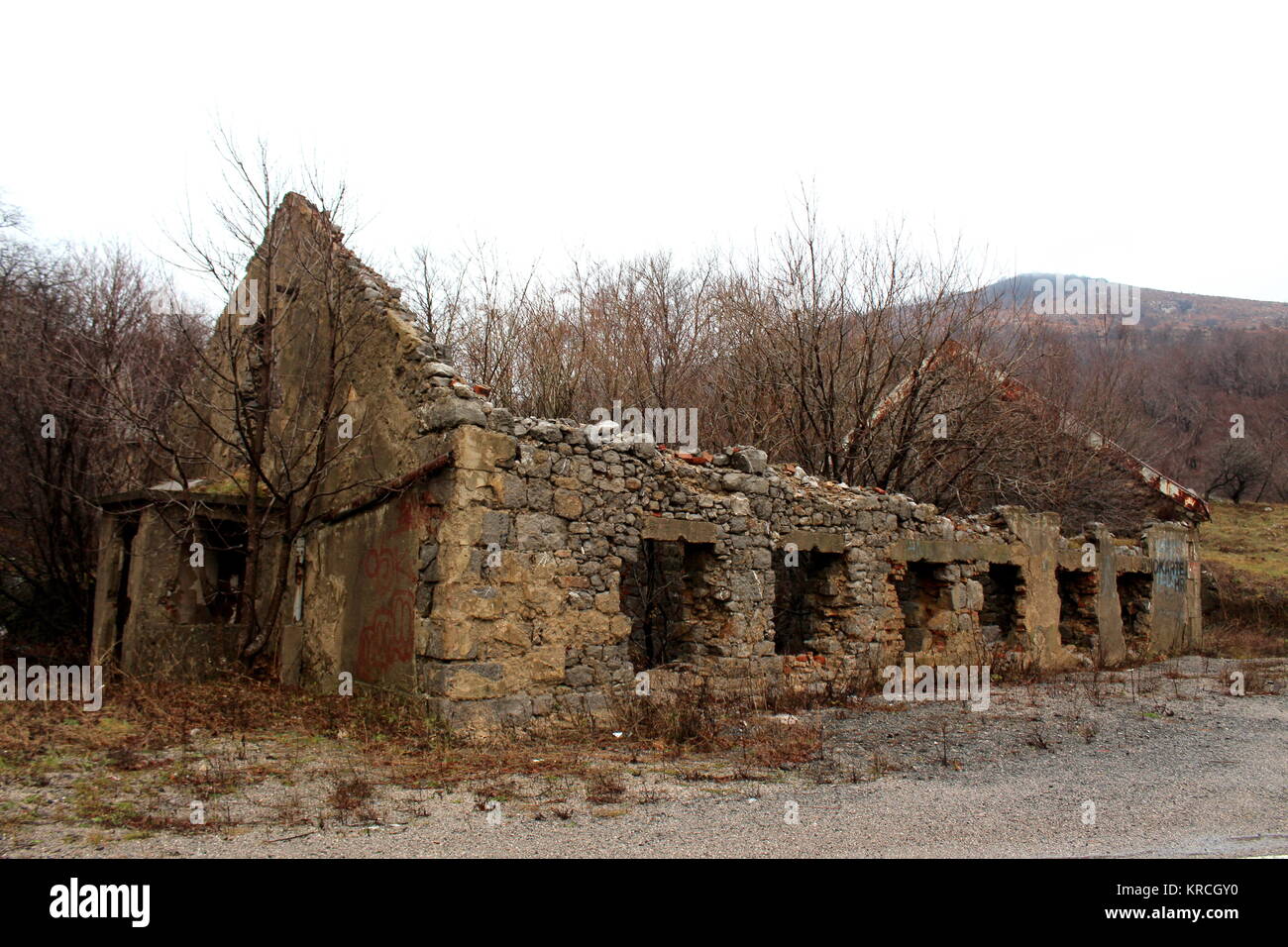 Stone house ruins without roof or windows with trees, plants and other ...