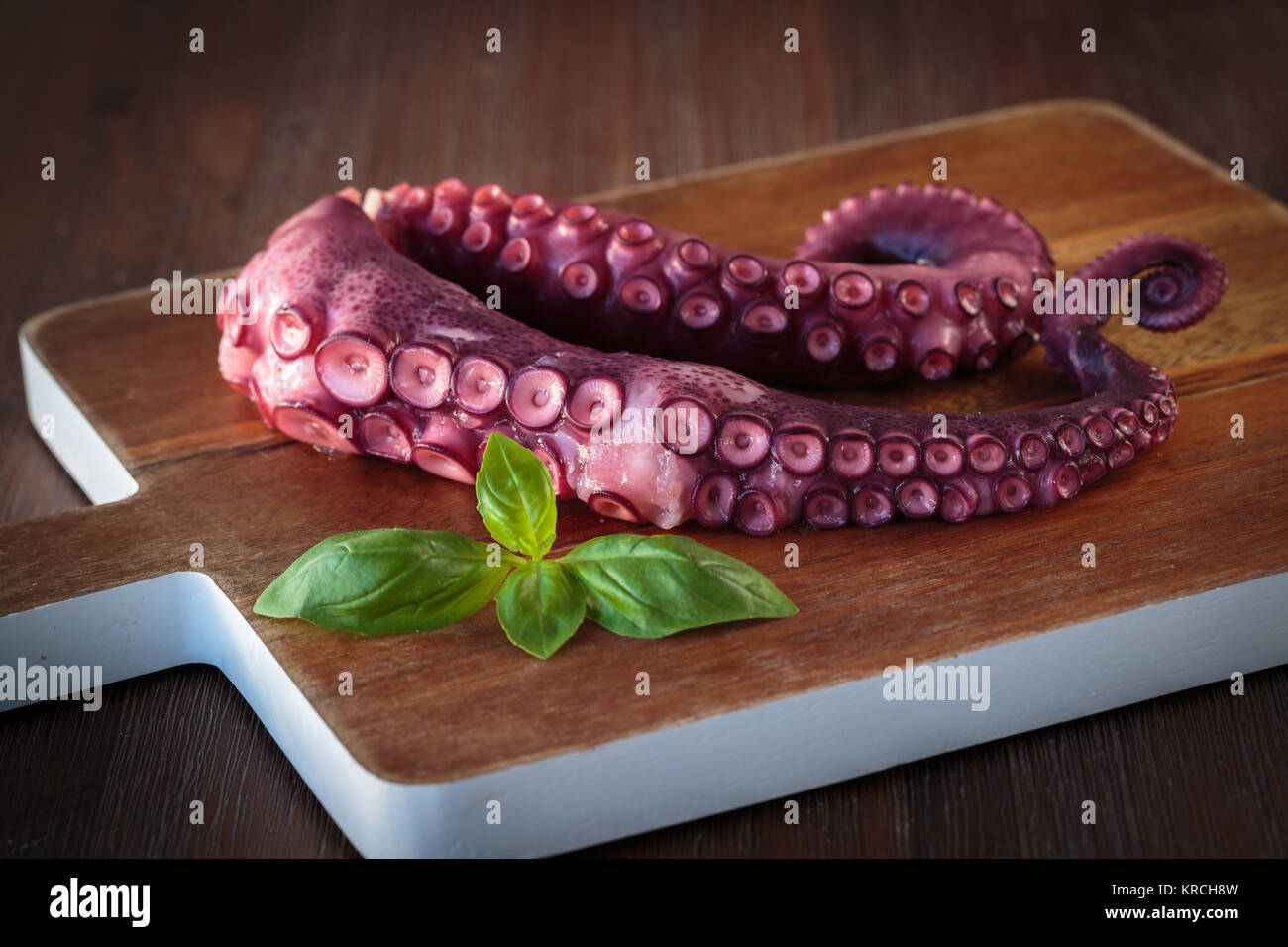 Delicious coocked Octopus Stock Photo - Alamy