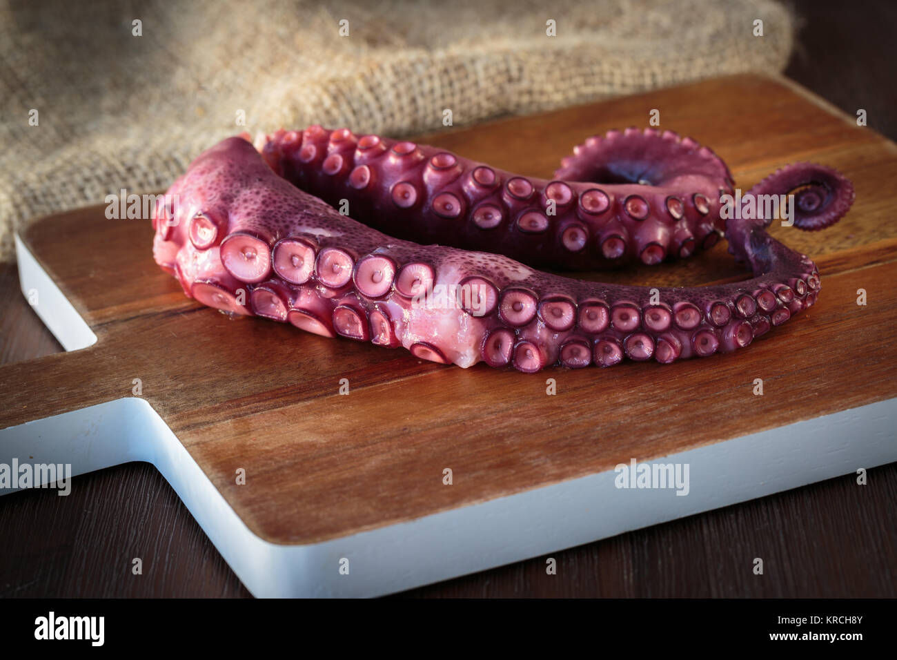 Delicious coocked Octopus Stock Photo - Alamy