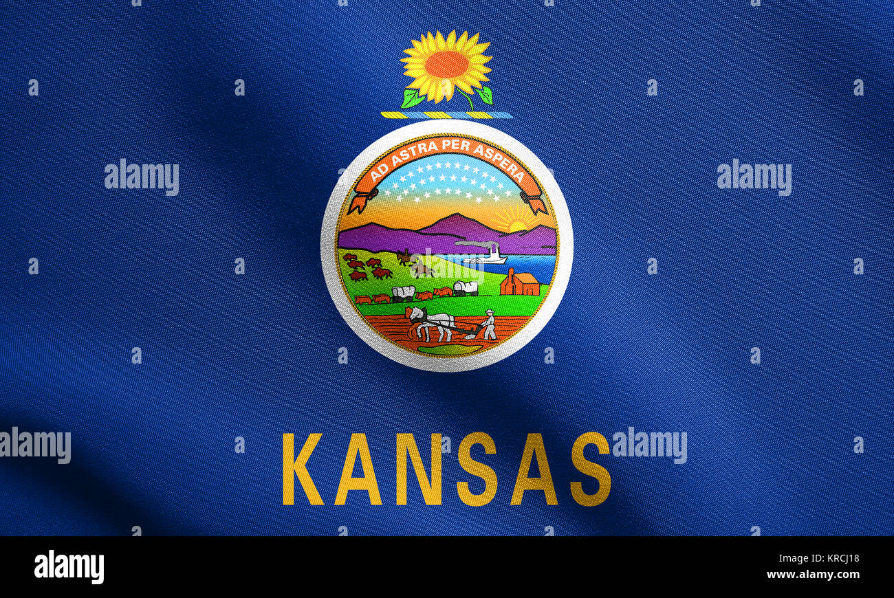 Flag of Kansas waving with fabric texture Stock Photo - Alamy