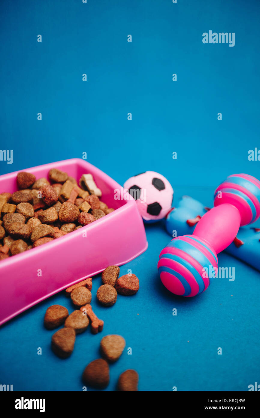 Healthy meal for a pet. A pink plastic bowl of dry dog food and cute ...