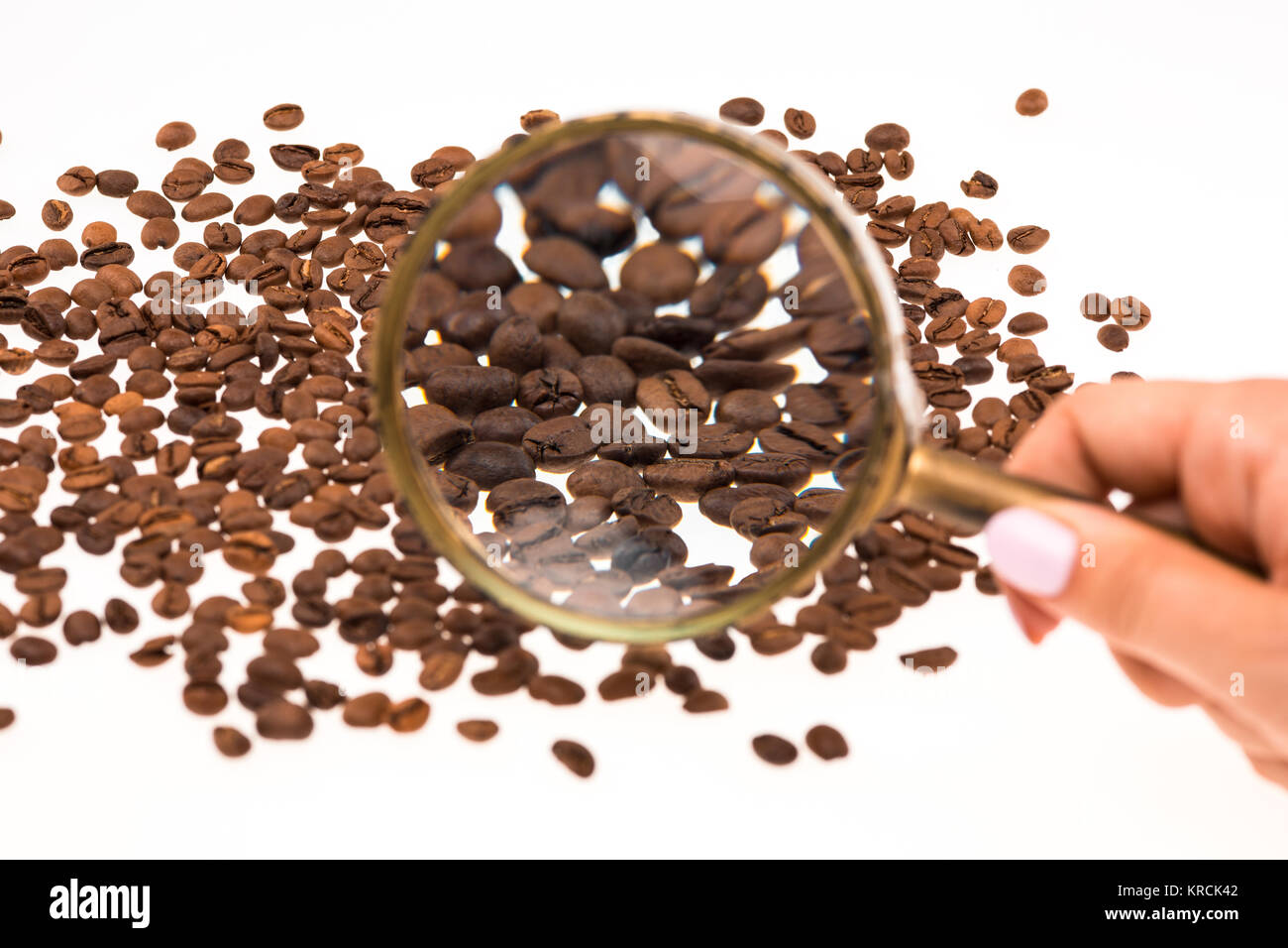 Female hand keepig magnifying glass over the coffee beans Stock Photo ...