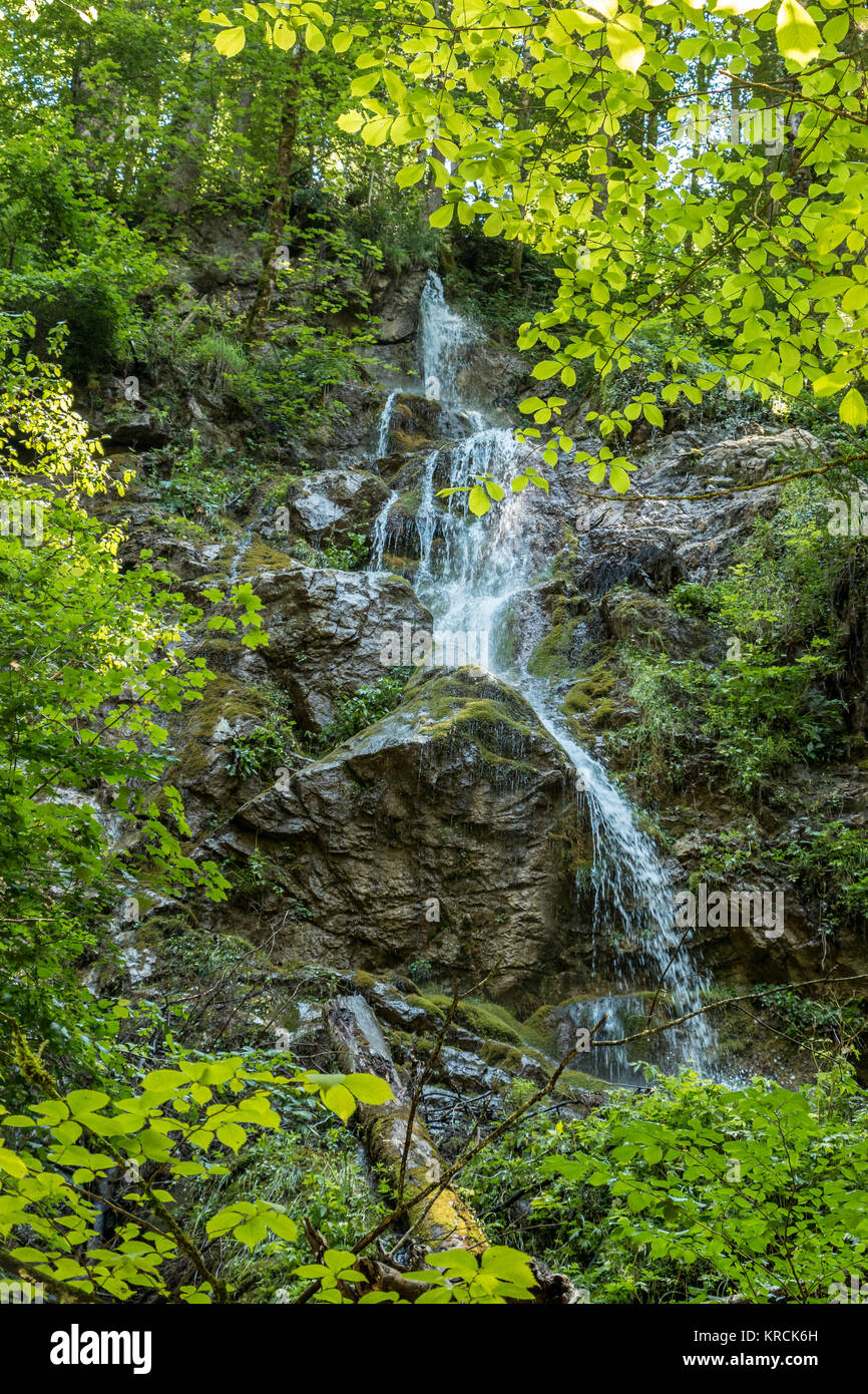 Wild creek, big rocks and trees in the canyon Stock Photo - Alamy