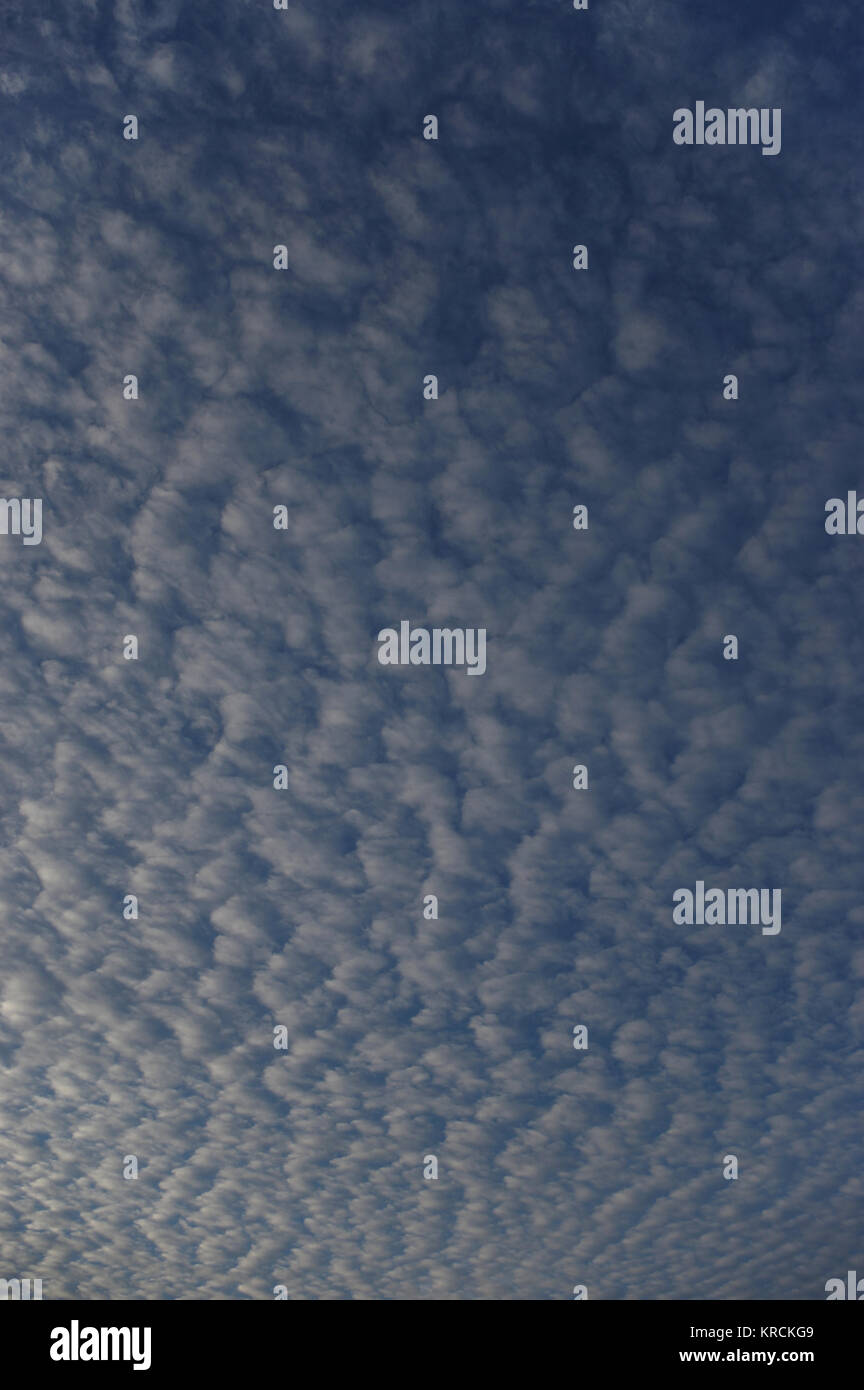 Altocumulus cloud formation while sunrise Stock Photo - Alamy