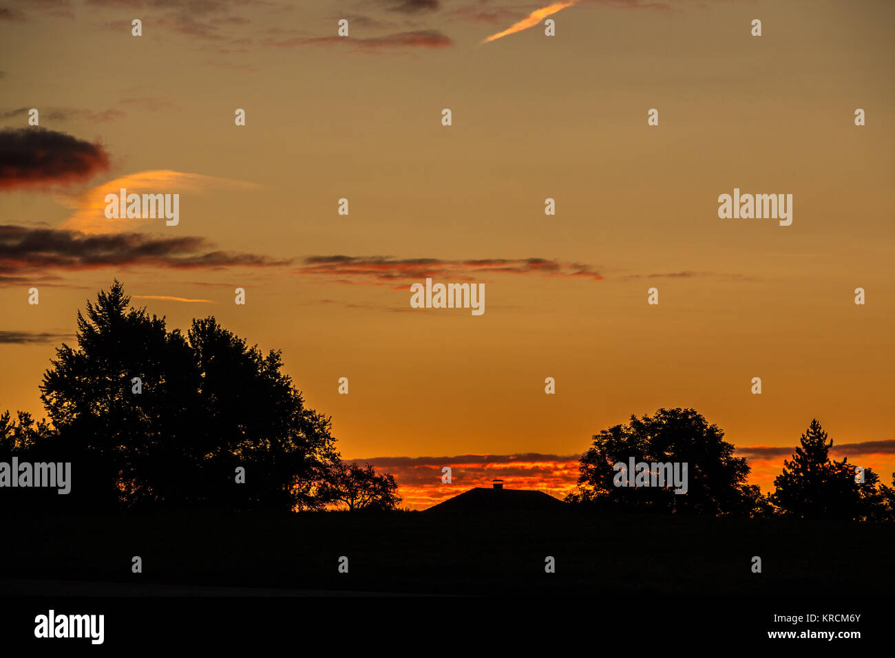 Sunrise with yellow sky and the dark trees of the forest Stock Photo ...