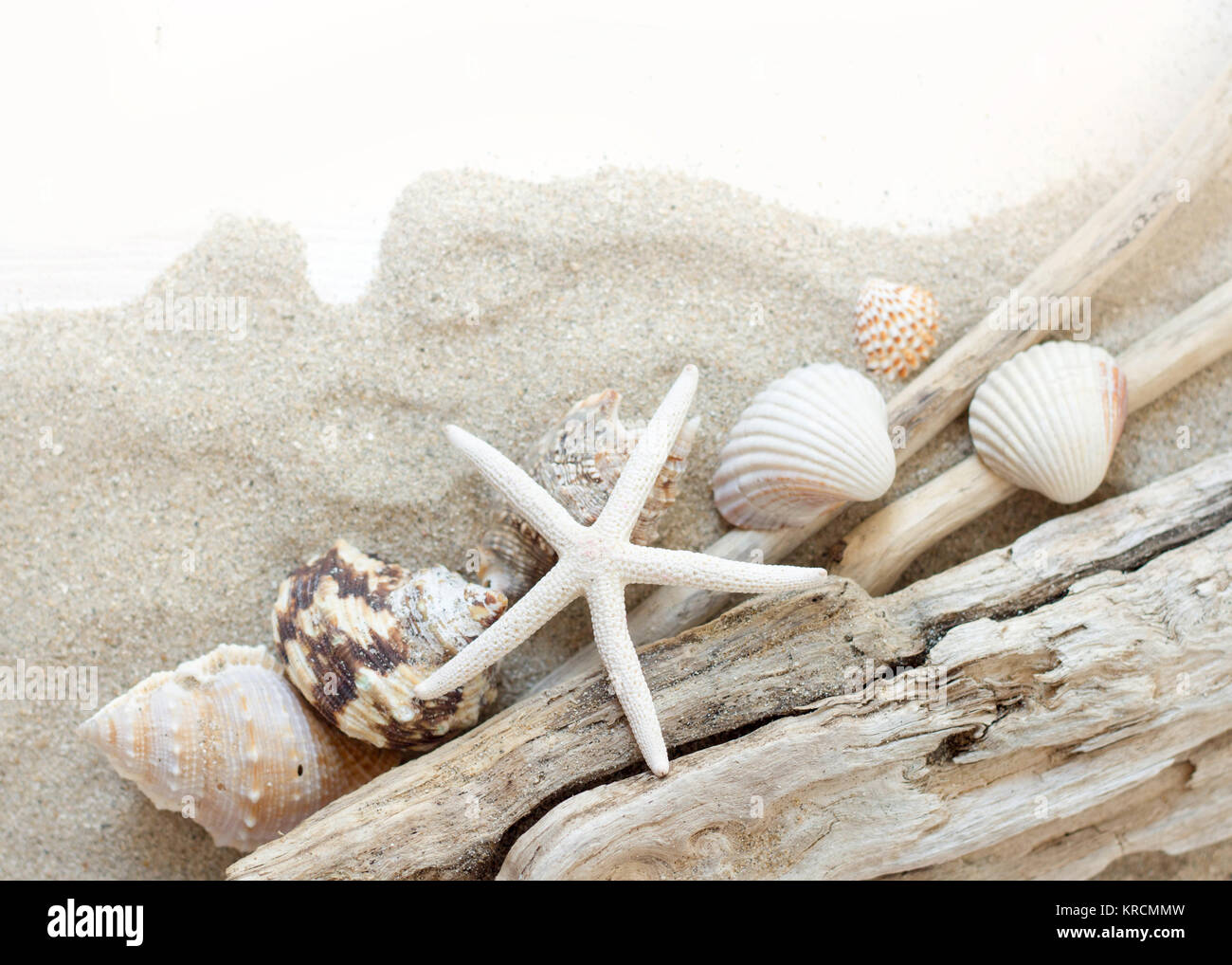 Sea shells, starfish and wood - Tropical travel Stock Photo - Alamy