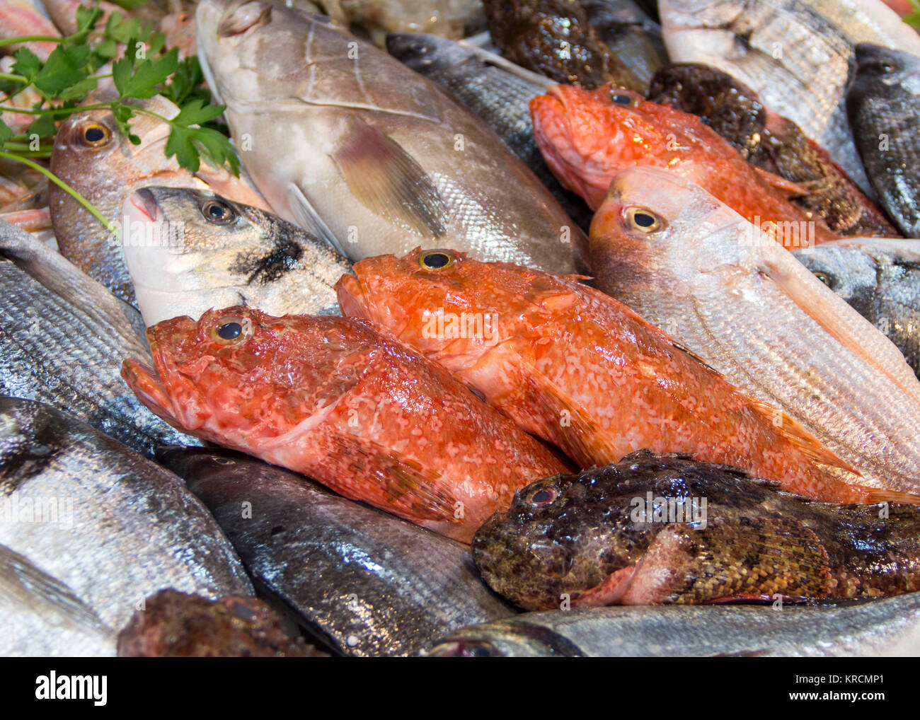 Mixed fish for sale on a market Stock Photo - Alamy