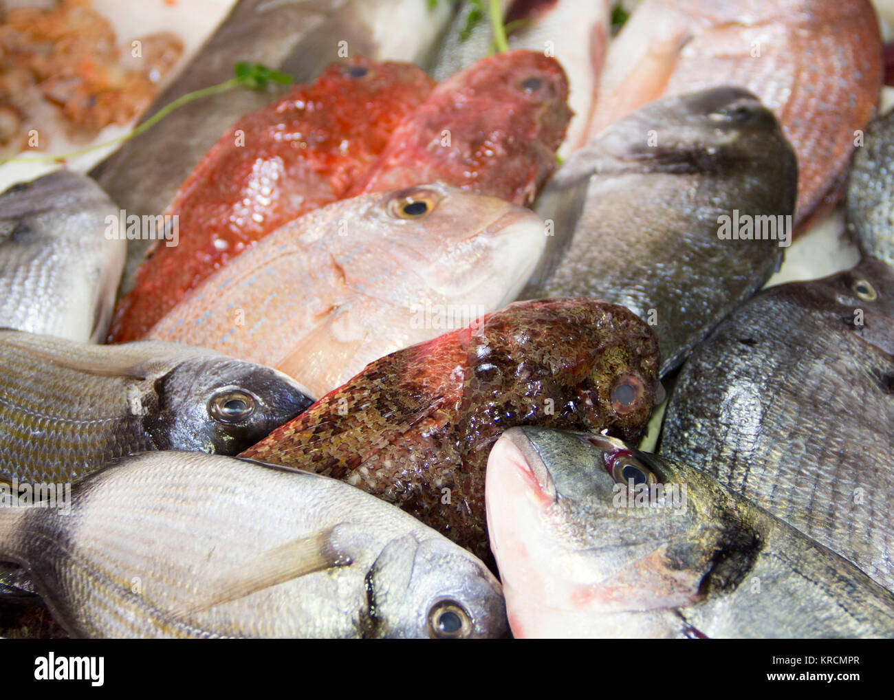 Mixed fish for sale on a market Stock Photo - Alamy
