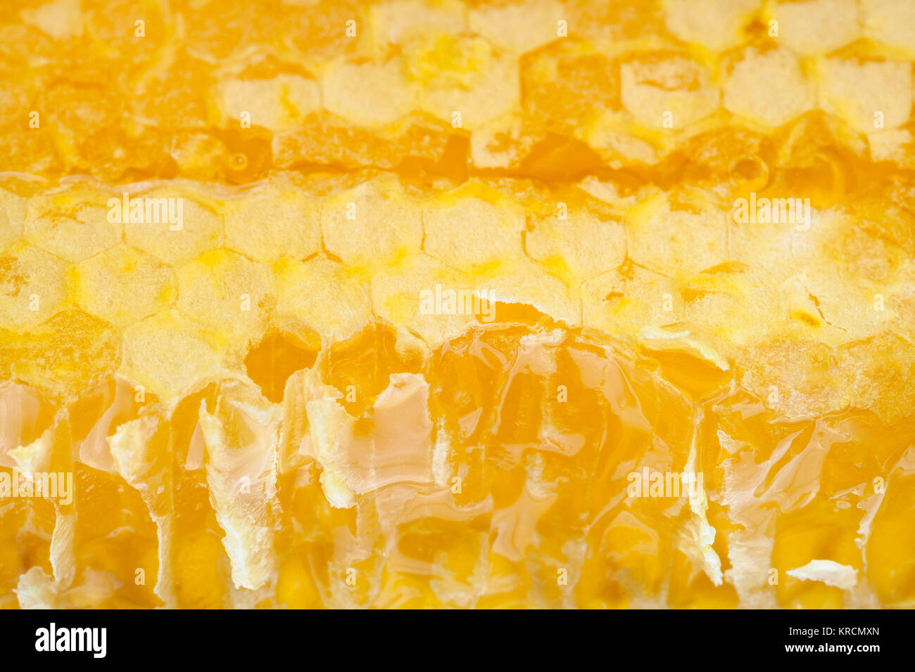 Broken yellow honeycomb honey hi-res stock photography and images - Alamy