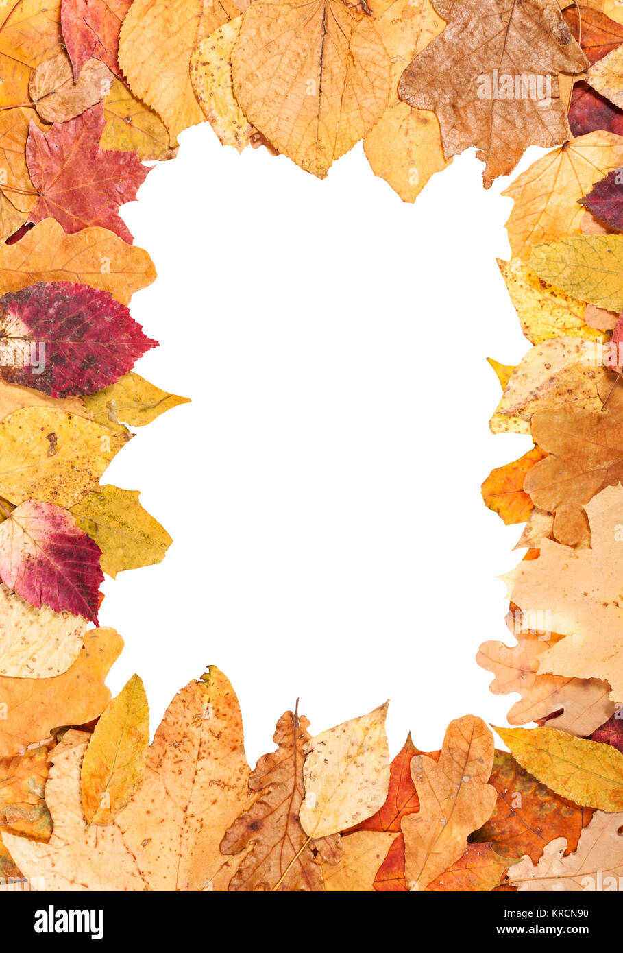 Vertical picture frame from hi-res stock photography and images - Alamy