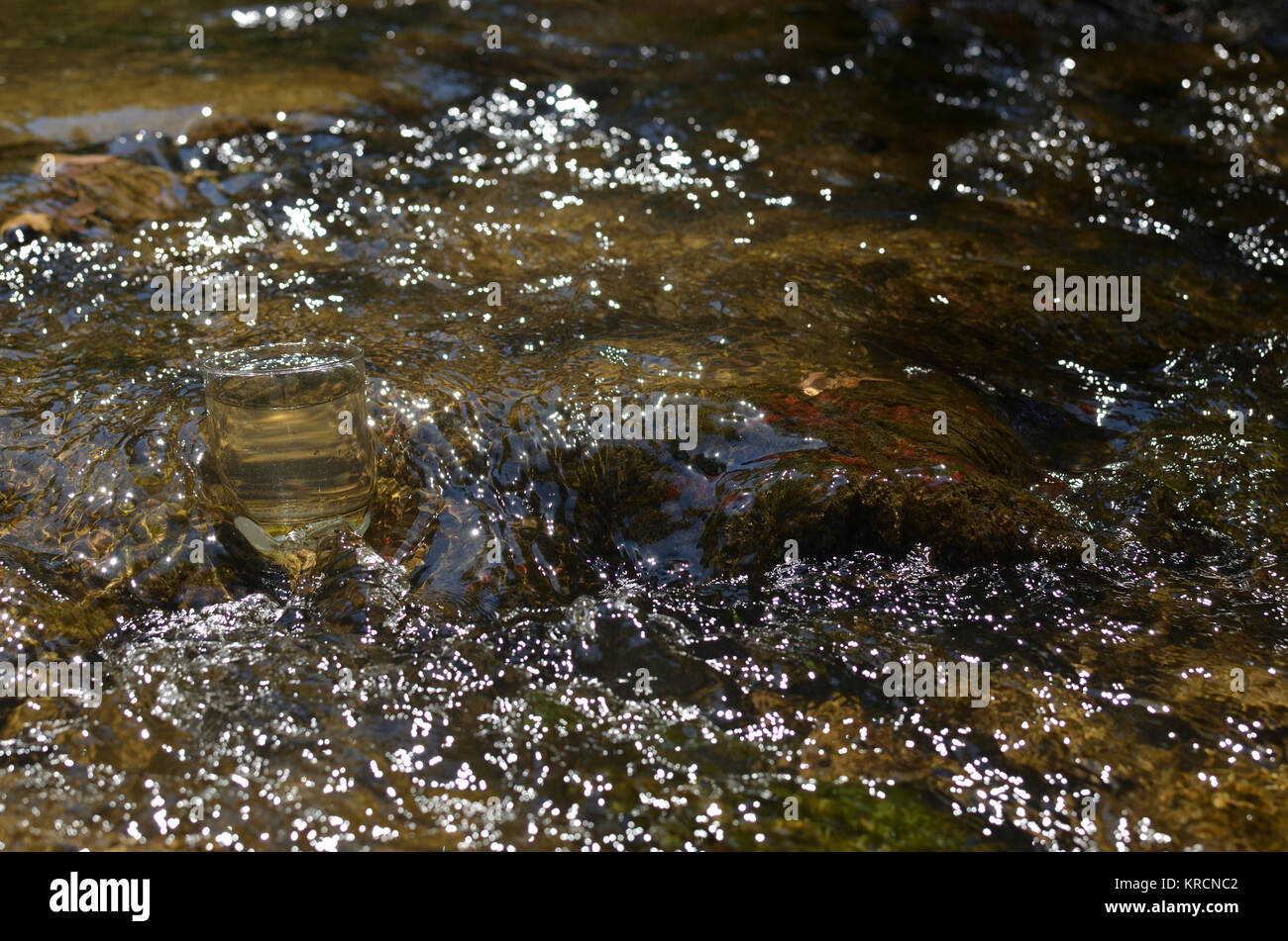 Glass of unpolluted water in a fast flow of a stream Stock Photo - Alamy