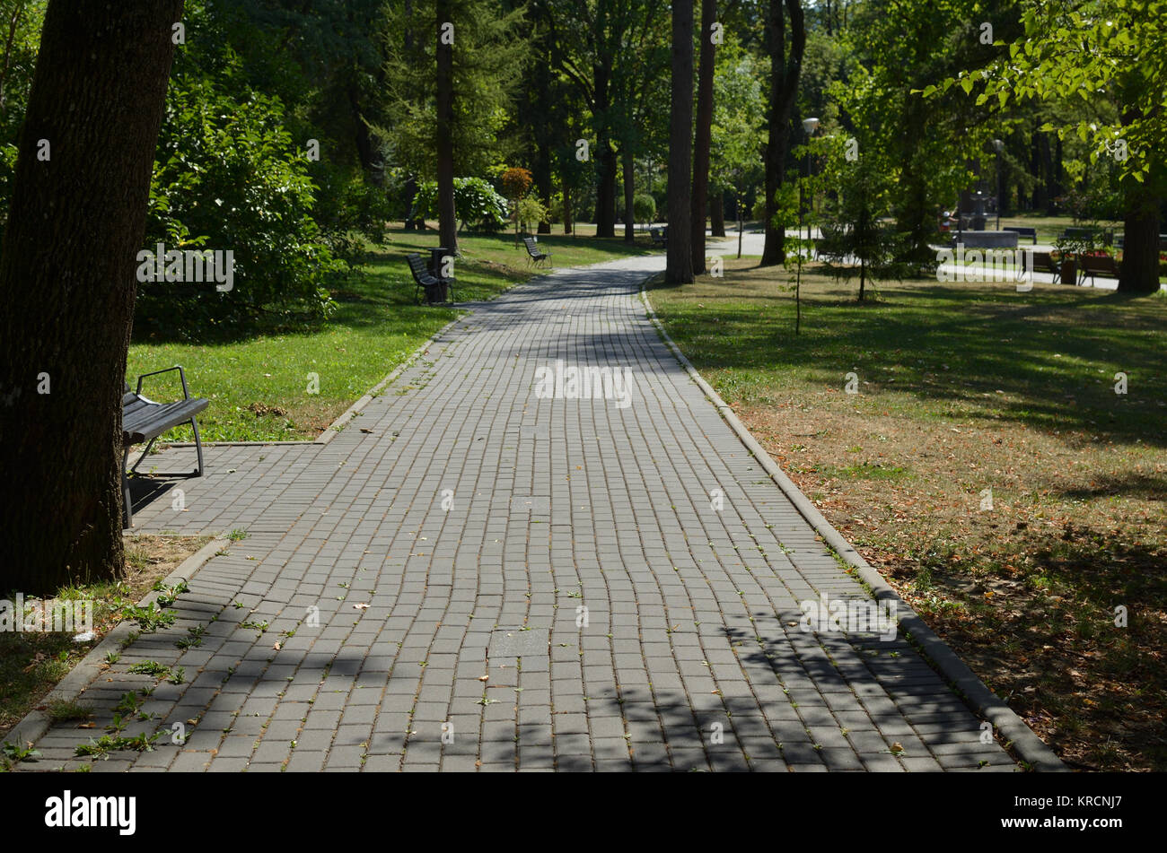 Empty path through a public park in summer showing a peace and calm ...