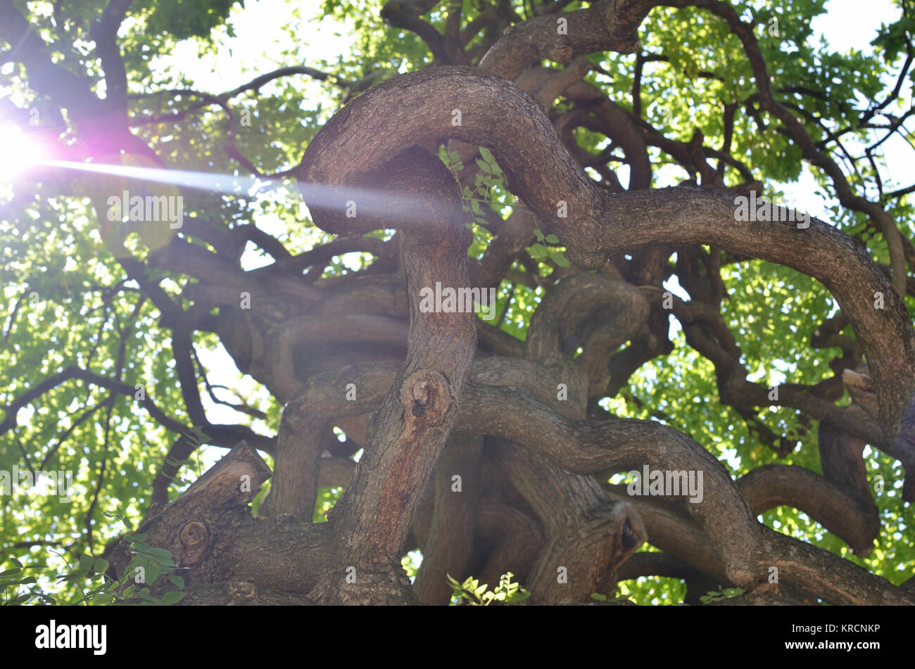 Twisted beam hi-res stock photography and images - Alamy
