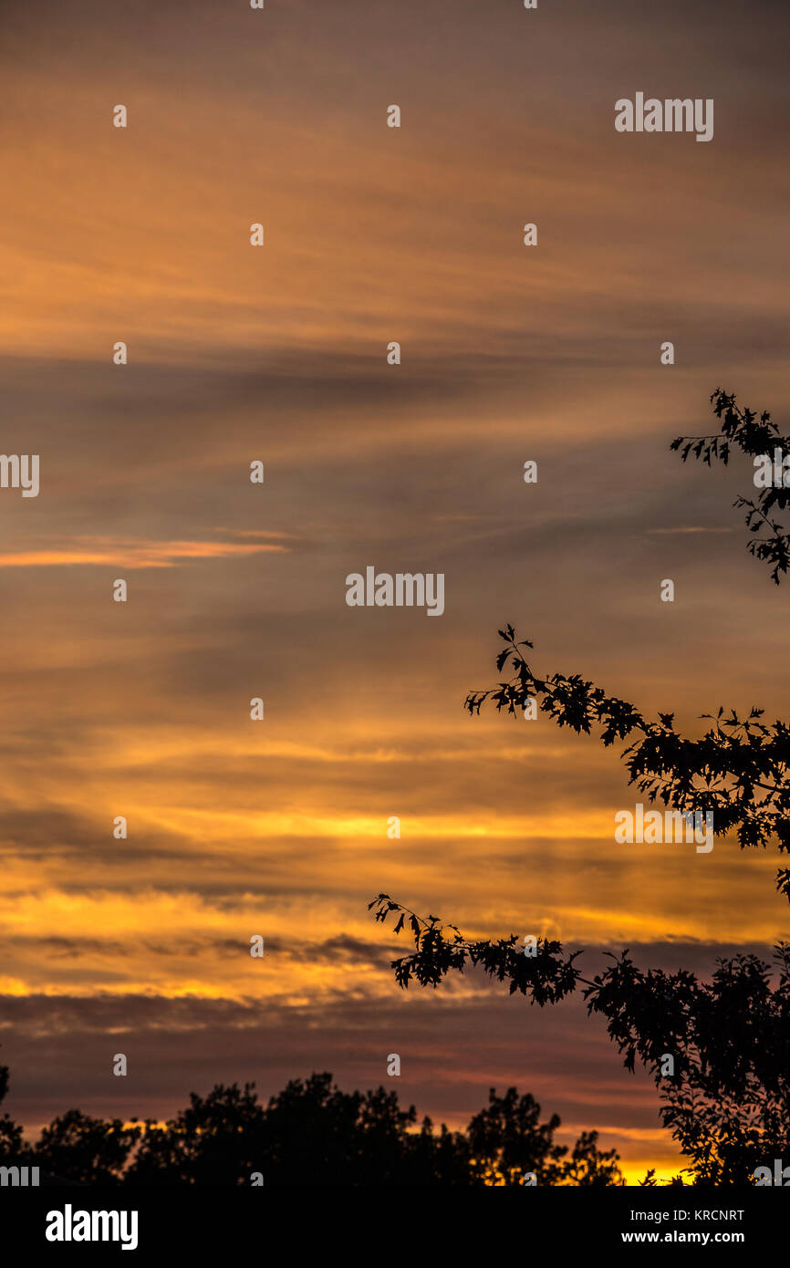 Yellow and black sunset hi-res stock photography and images - Alamy