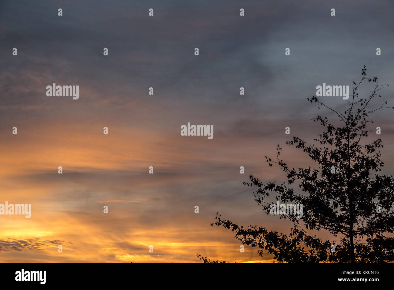 Yellow and black sunset hi-res stock photography and images - Alamy