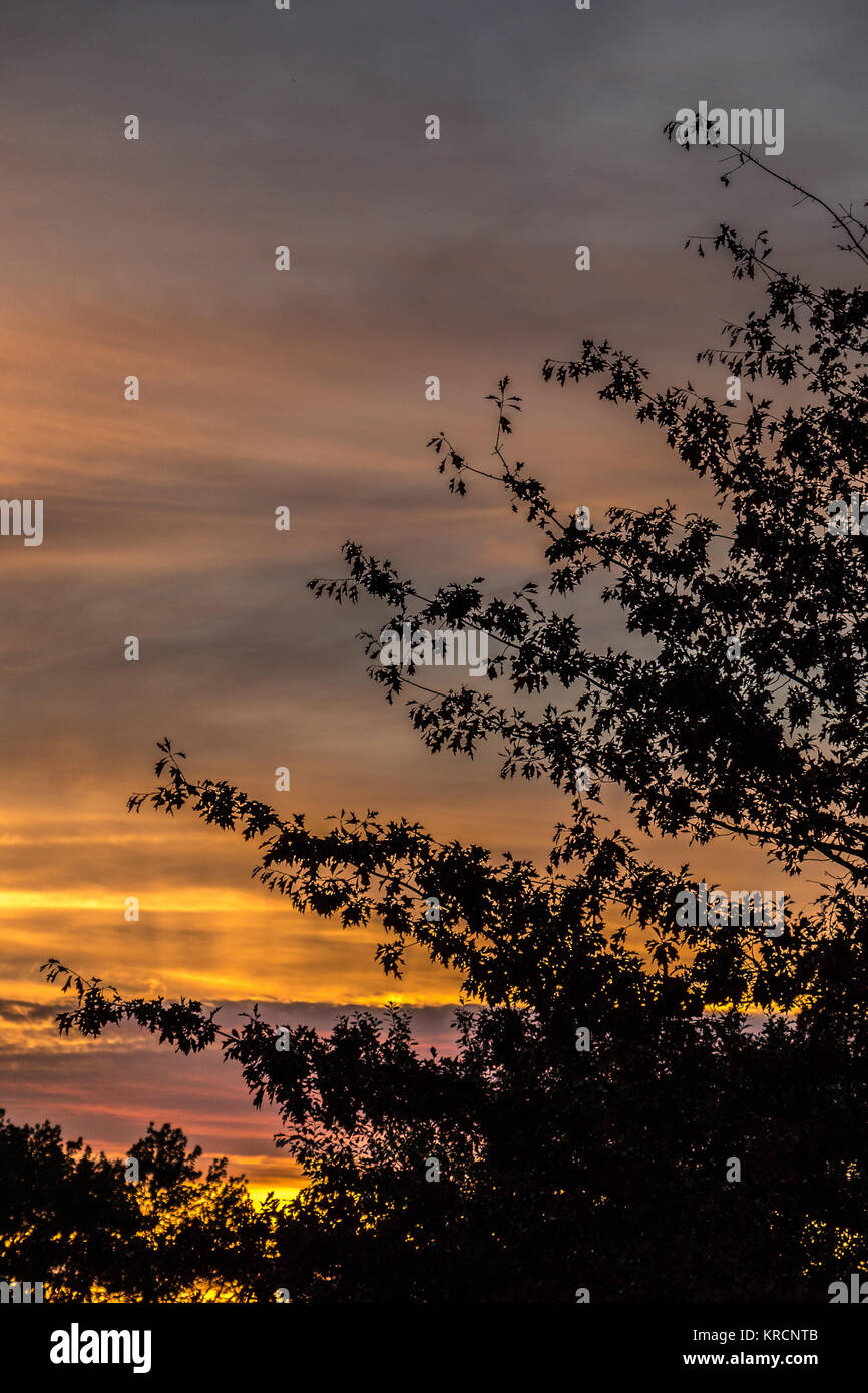 Yellow and black sunset hi-res stock photography and images - Alamy
