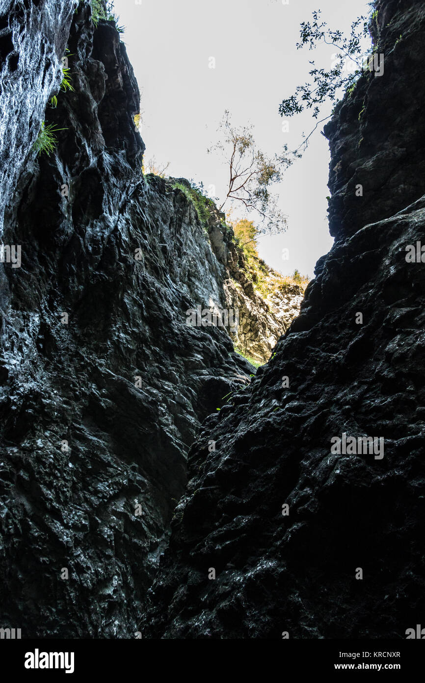 Dark canyon wilderness hi-res stock photography and images - Alamy