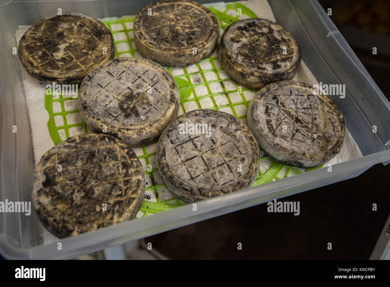 aging cheese heads Stock Photo - Alamy