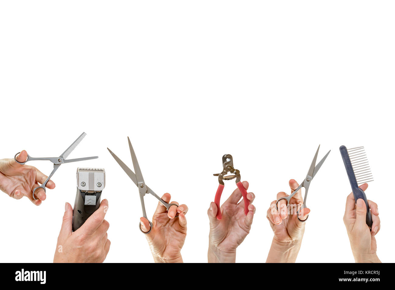 Hands holding equipment for pets grooming isolated Stock Photo - Alamy